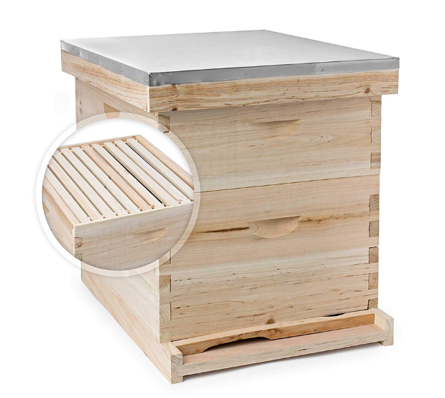 Factory Durable Langstroth Standard Wooden Beehive,Frames, Foundations ...