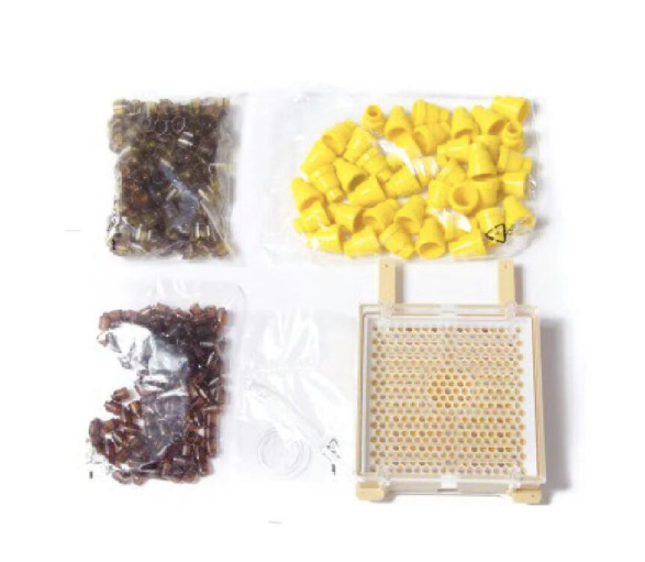 Jenter Queen Rearing Kit,Other beekeeping tools